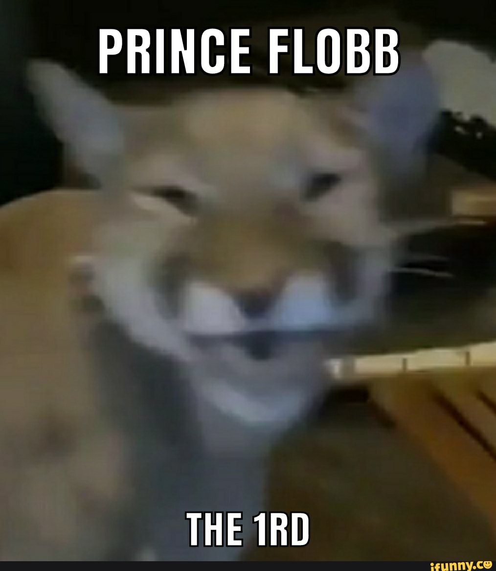 Flobb memes. Best Collection of funny Flobb pictures on iFunny