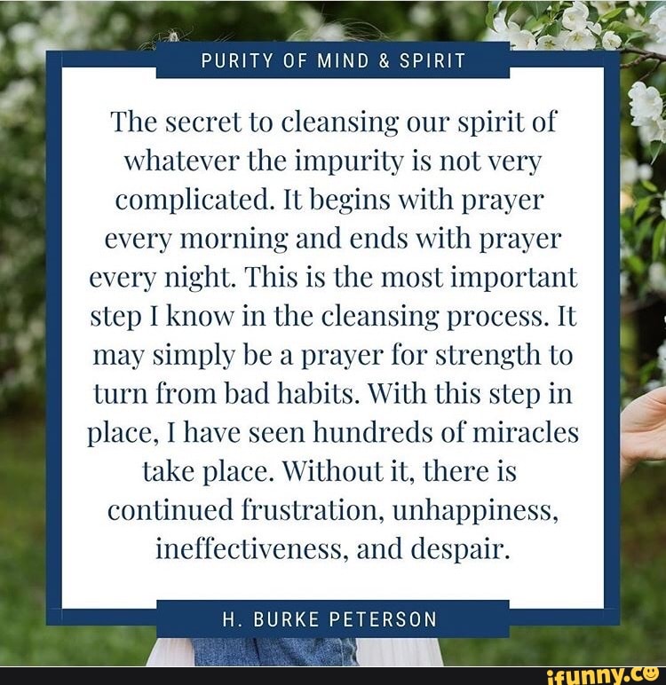 PURITY OF MIND & SPIRIT The secret to cleansing our spirit of whatever ...
