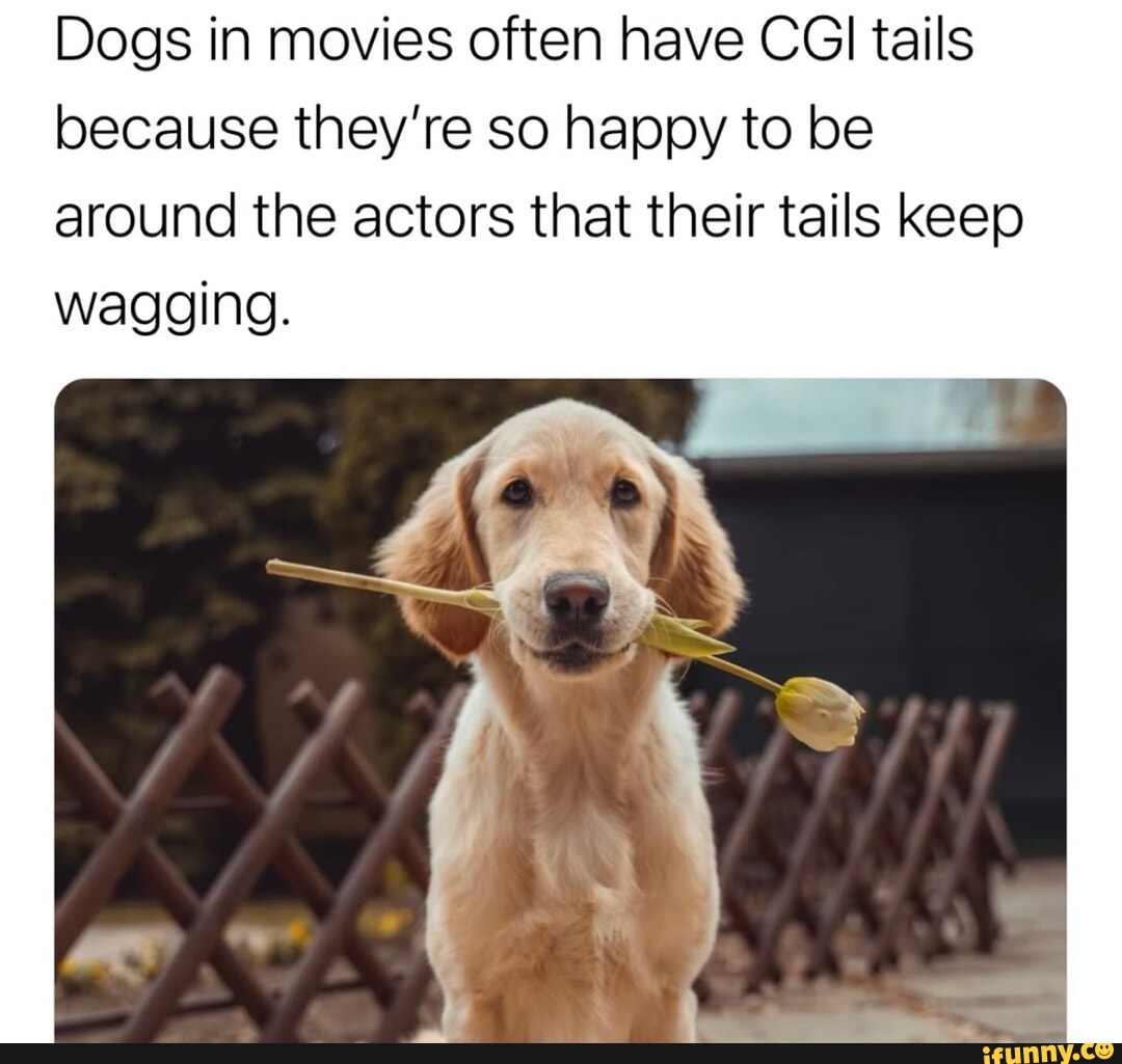 Dogs in movies often have CGI tails because they're so happy to be ...