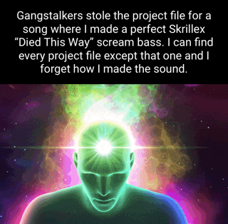 Gangstalkers memes. Best Collection of funny Gangstalkers pictures on ...