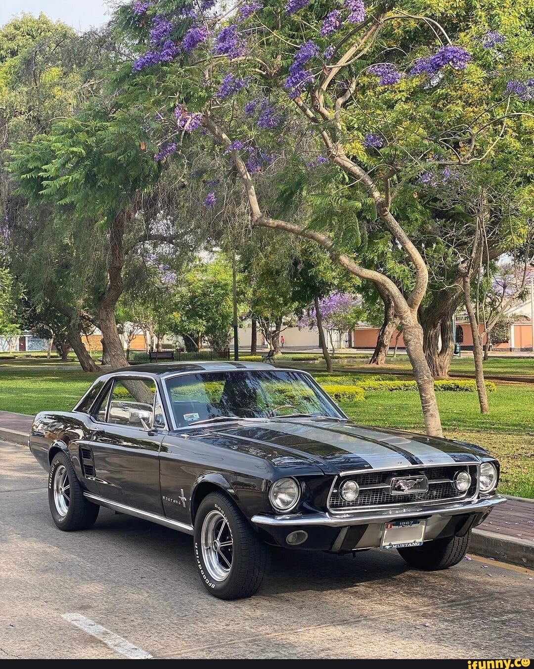 Mustang memes. Best Collection of funny Mustang pictures on iFunny