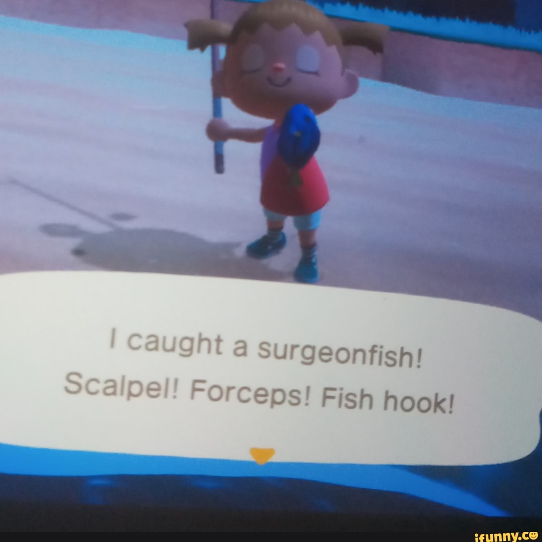 Aught a surgeonfish! -aiDel! Forceps! Fish hook! - iFunny