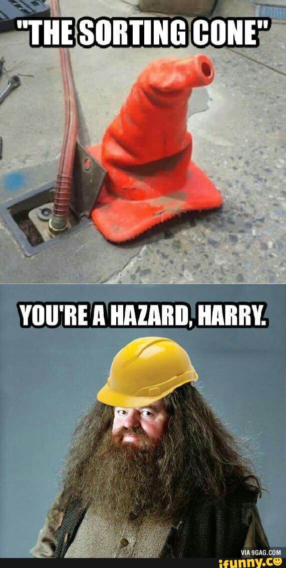"THE SORTING CONE" YOU'RE A HAZARD, HARRY. - iFunny
