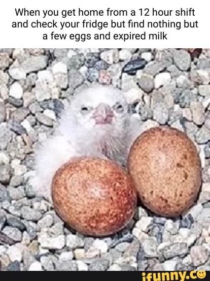 Expiredmilk memes. Best Collection of funny Expiredmilk pictures on iFunny