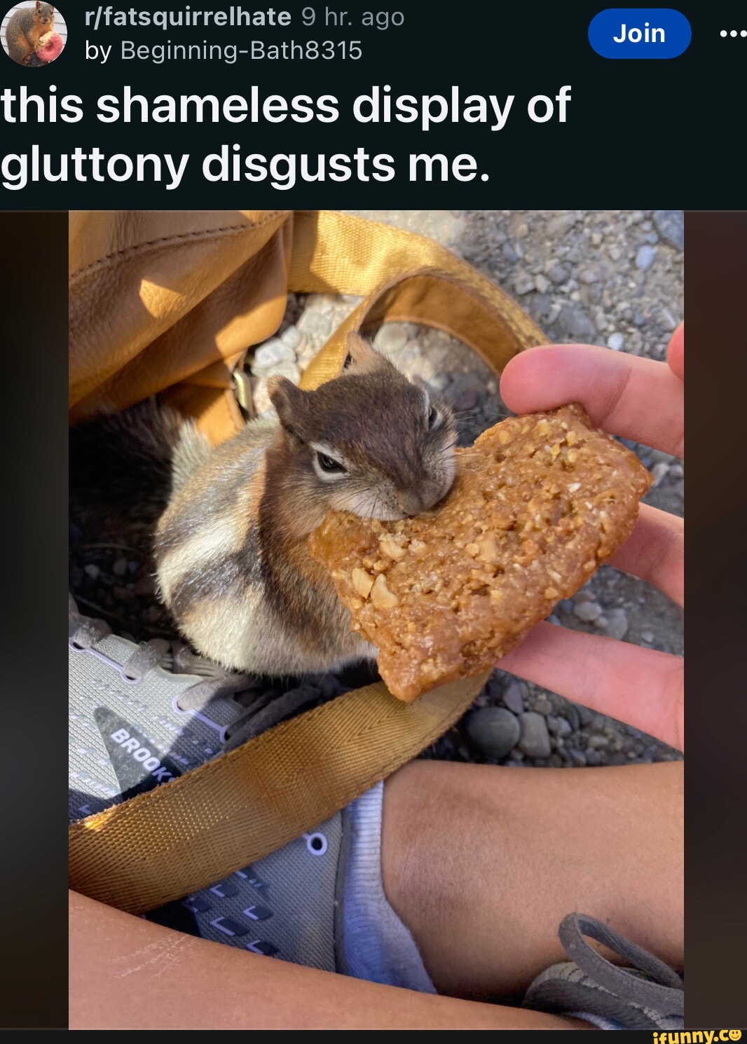 9 hr. ago Join by Beginning-Bath8315 this shameless display of gluttony ...