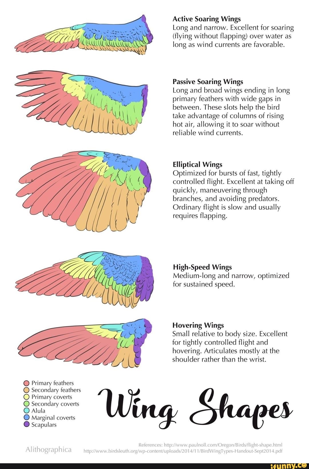 Video memes 4KJDovBd6 by holdintudix: 0.6K comments - )