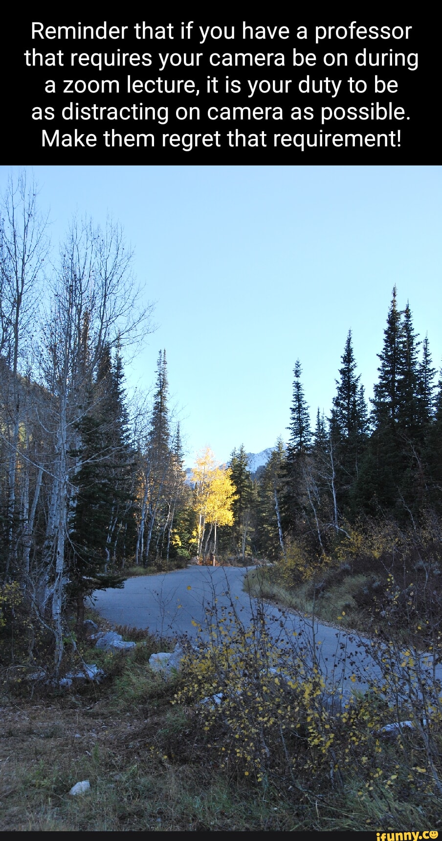 Distracting memes. Best Collection of funny Distracting pictures on iFunny