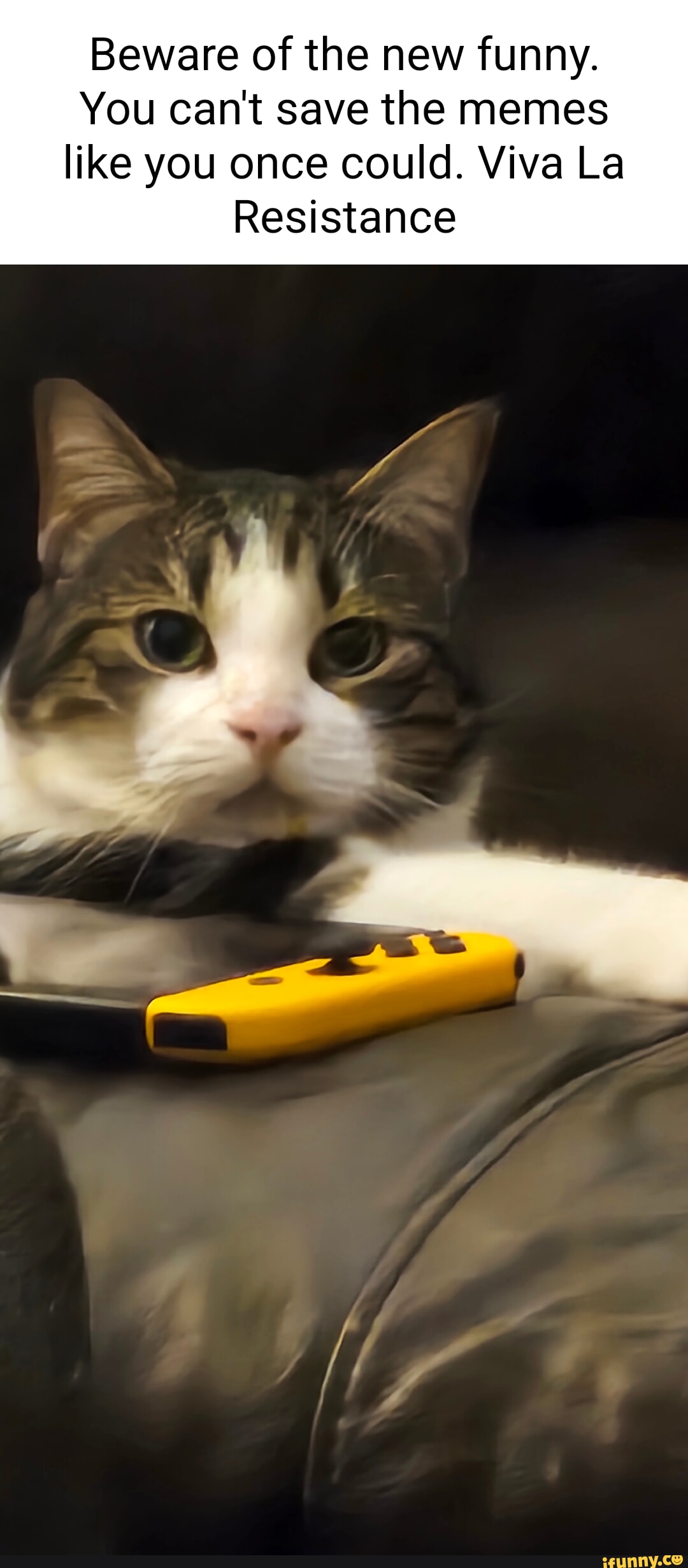 Viva memes. Best Collection of funny Viva pictures on iFunny