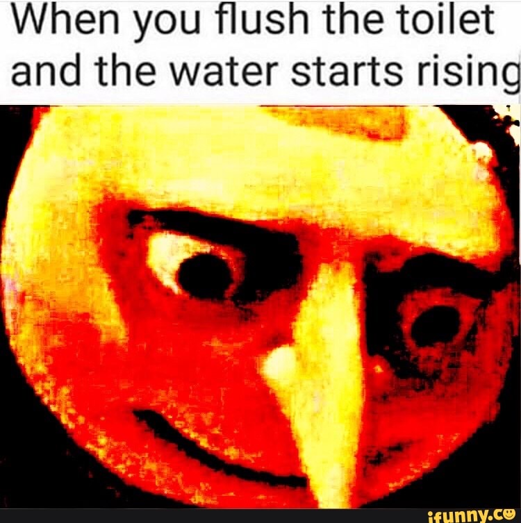When you ﬂush the toilet and the water starts rising - iFunny