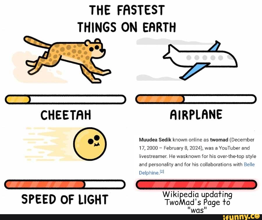 THE FASTEST THINGS ON EARTH CHEETAH AIRPLANE Muudea Sedik known online ...