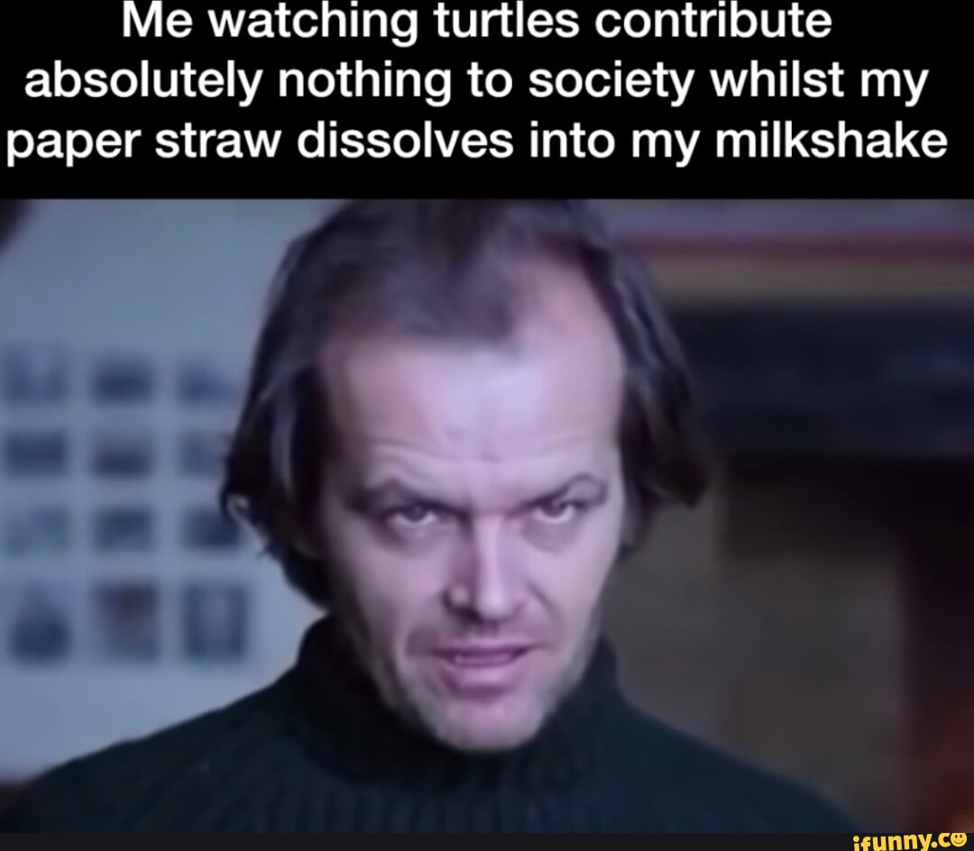 Me watching turtles contribute absolutely nothing to society whilst my ...