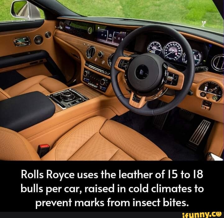 Royce memes. Best Collection of funny Royce pictures on iFunny