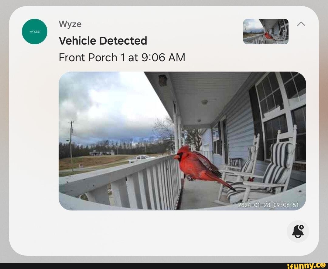 Wyze Vehicle Detected Front Porch 1 at AM - iFunny
