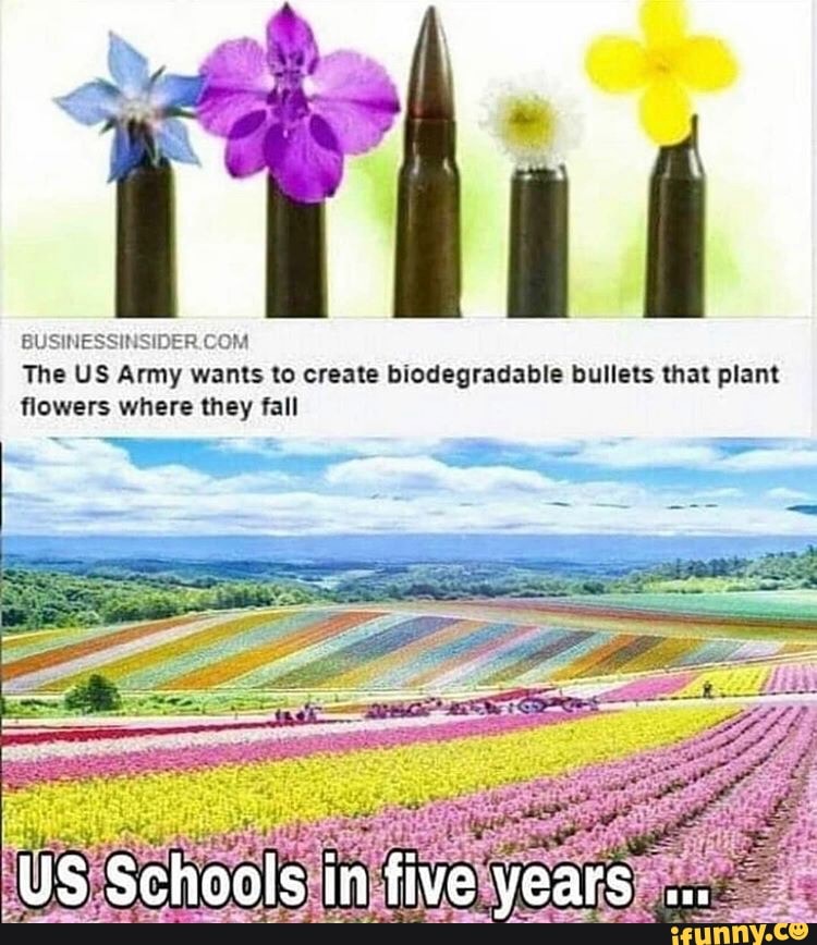 4 BUSINESSINSIDER.COM The US Army wants to create biodegradable bullets ...
