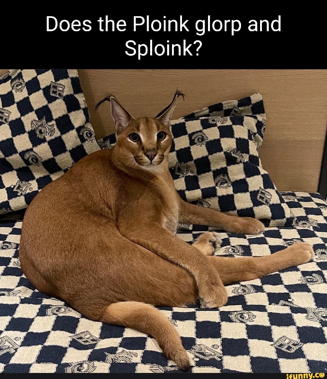 Ploink memes. Best Collection of funny Ploink pictures on iFunny