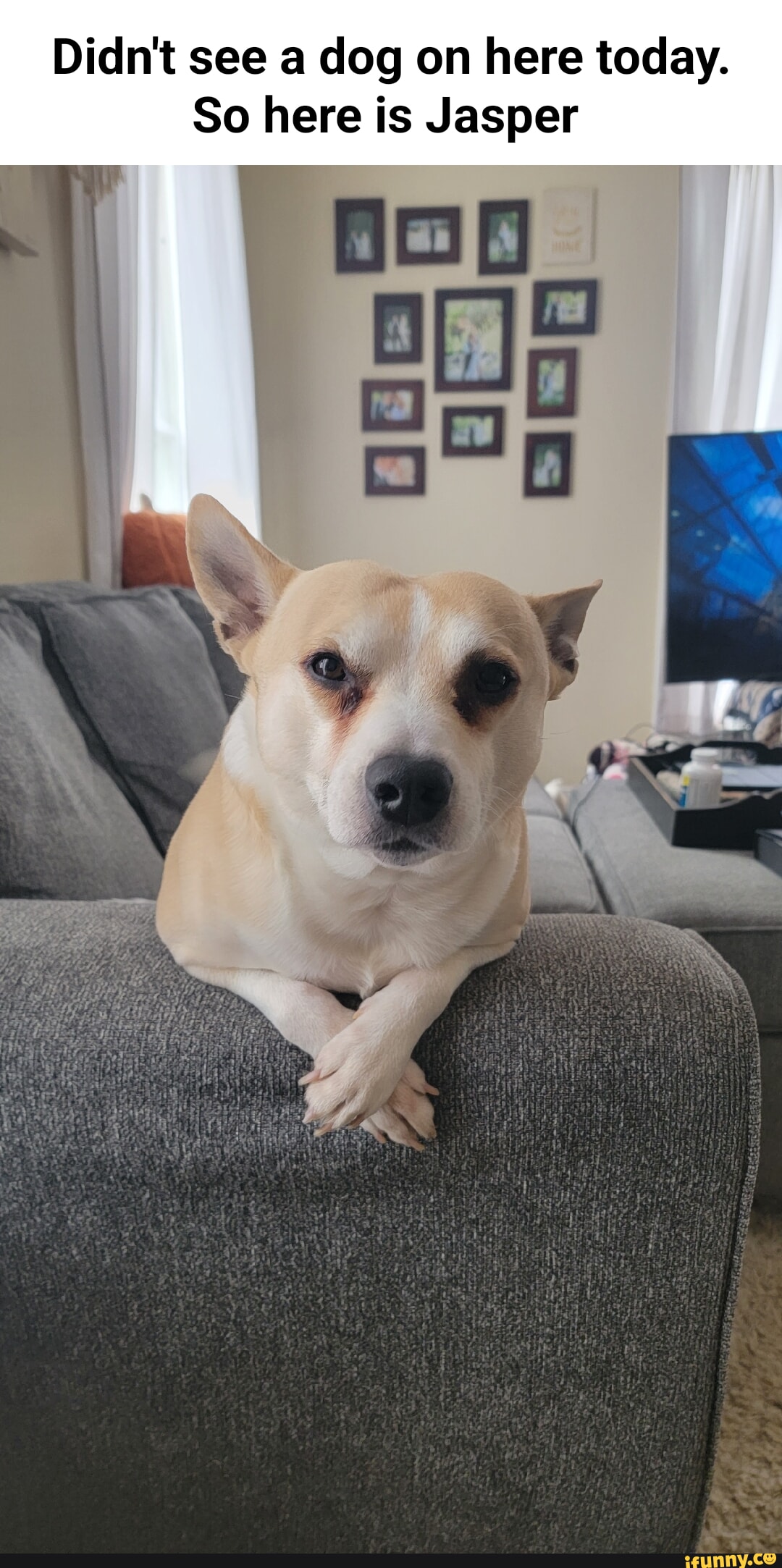 Jasper memes. Best Collection of funny Jasper pictures on iFunny