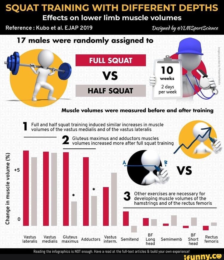 SQUAT TRAINING WITH DIFFERENT DEPTHS Effects on lower limb muscle ...