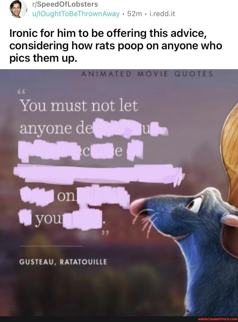 Iredd.it WSpeedOtLobsters Ironic for him to be offering this advice ...