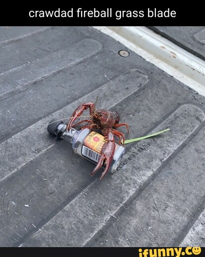 Crawdad memes. Best Collection of funny Crawdad pictures on iFunny