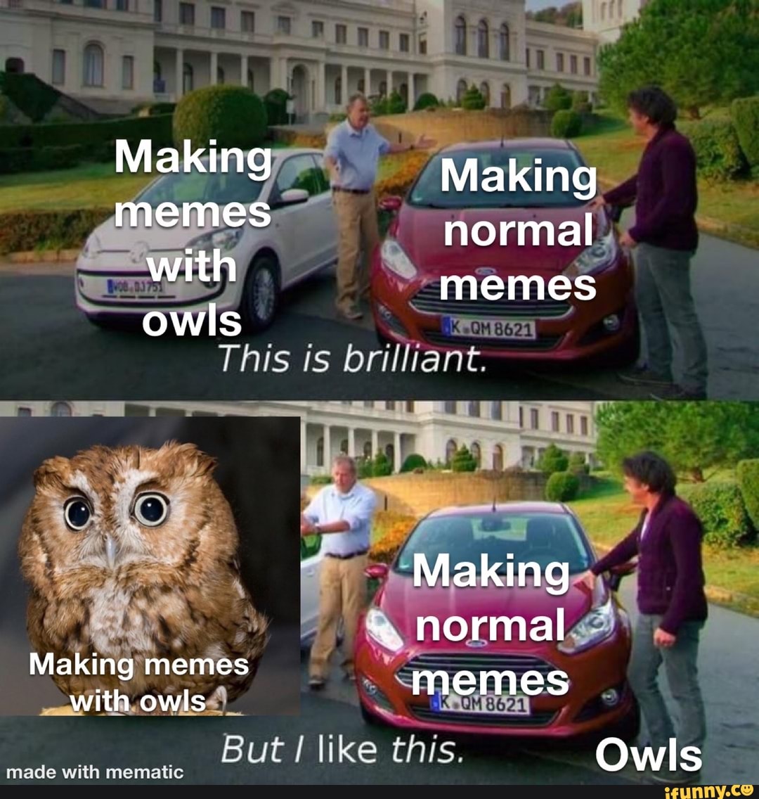 Making Making memes normal with memes owls Making normal Making memes ...