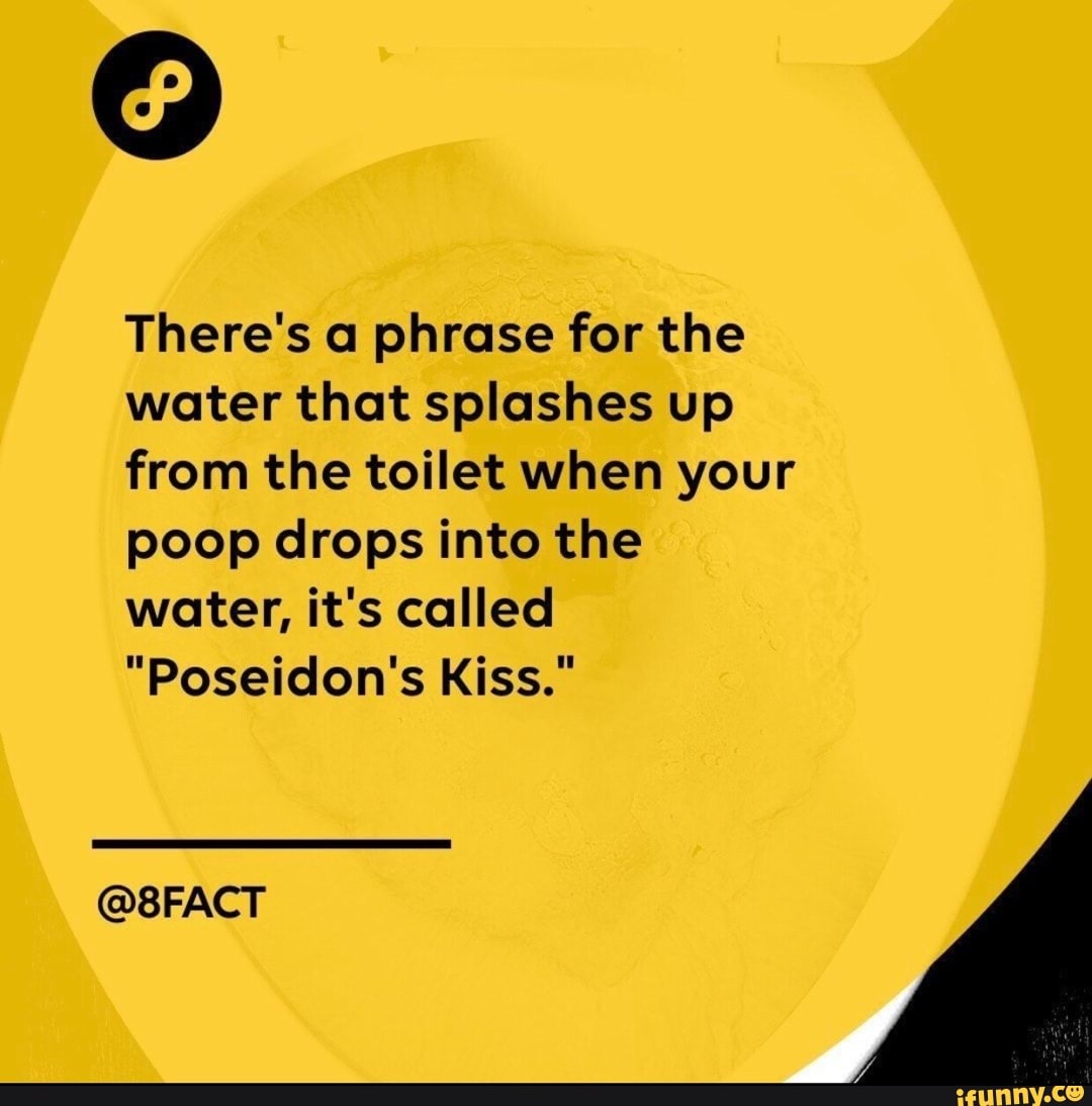 There's a phrase for the water that splashes up from the toilet when ...