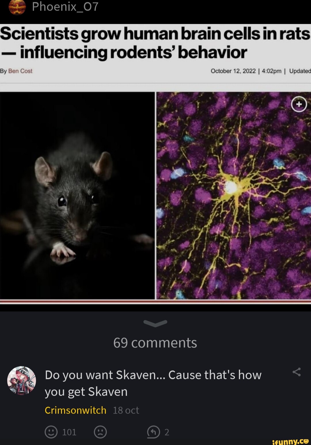 Phoenix_O7 Scientists grow human brain cells in rats - influencing ...