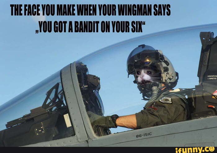 Dcs_world memes. Best Collection of funny Dcs_world pictures on iFunny