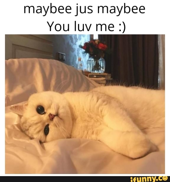 Maybee memes. Best Collection of funny Maybee pictures on iFunny
