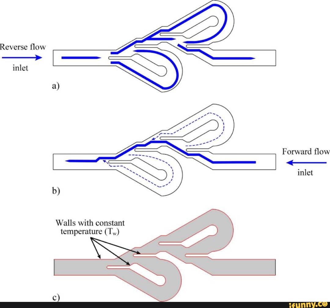 Reverse flow inlet Forward flow inlet Walls with constant temperature ...