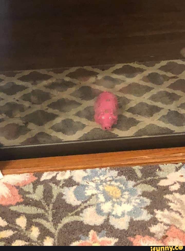 Cursed_pig memes. Best Collection of funny Cursed_pig pictures on iFunny