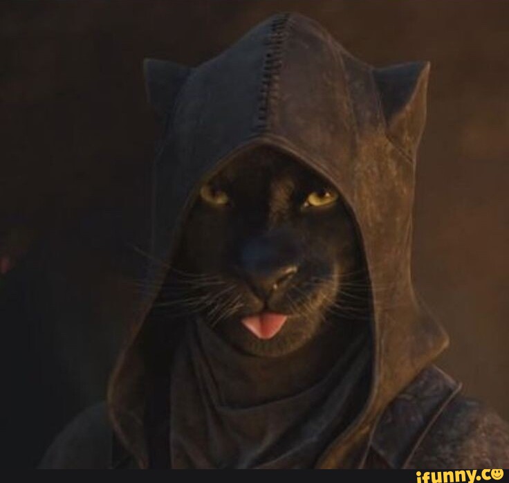 Picture memes lWxi9QFLA by Katia_Managan: 6 comments - iFunny