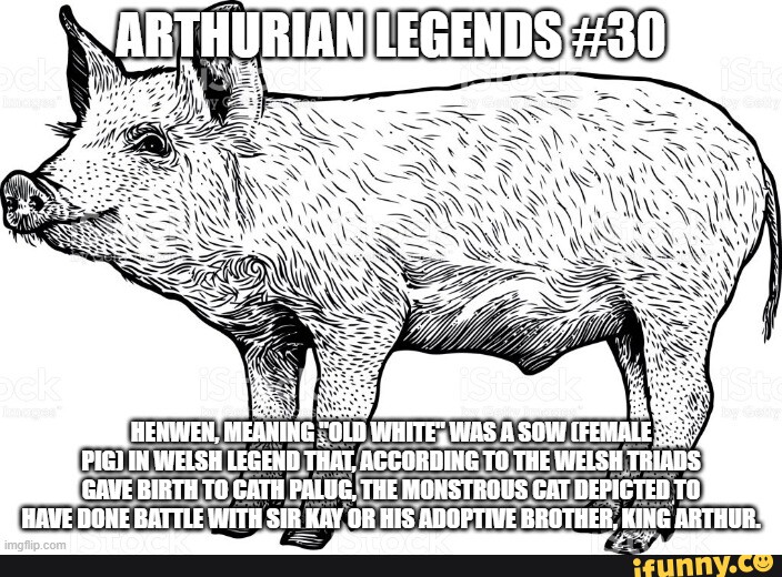 Henwen, meaning "Old White" was a sow (female pig) in Welsh legend that ...