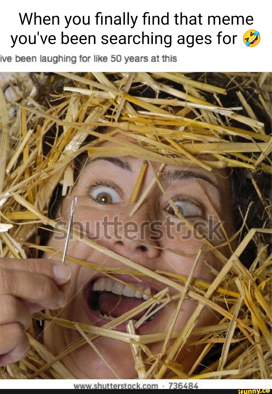 Shutterstock memes. Best Collection of funny Shutterstock pictures on ...