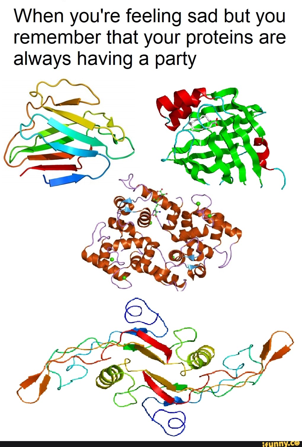 When you're feeling sad but you remember that your proteins are always ...