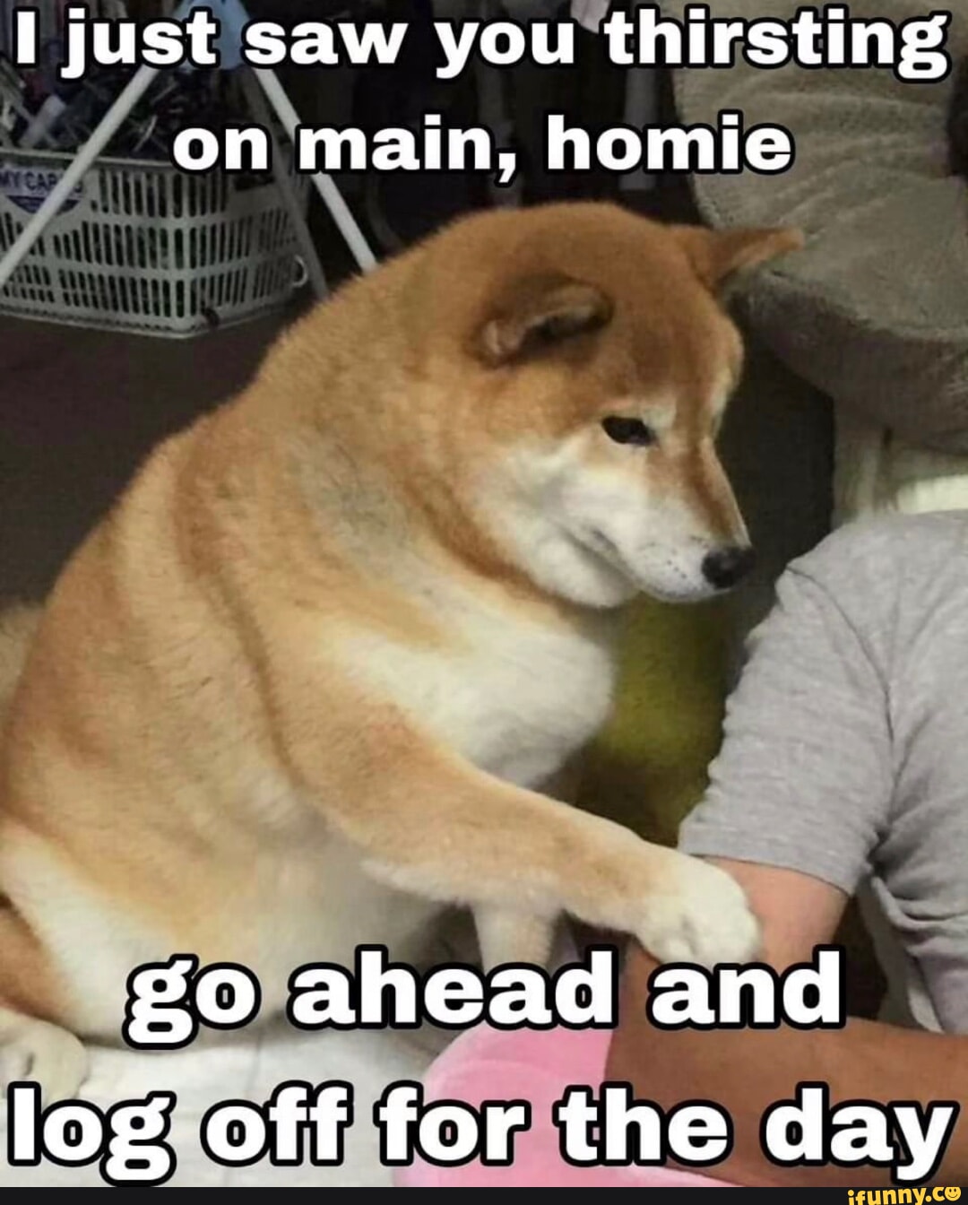 Cheem memes. Best Collection of funny Cheem pictures on iFunny