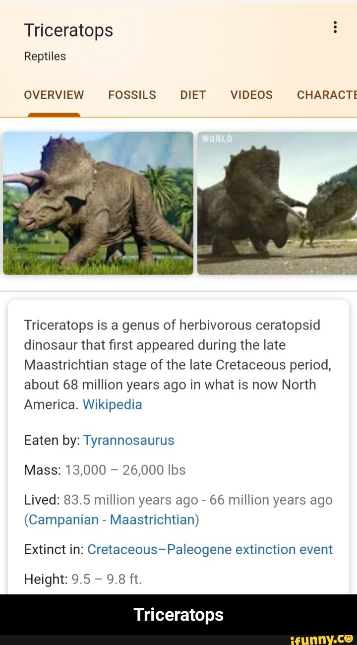 OVERVIEW FOSSILS DIET VIDEOS CHARACTI Triceratops is a genus of ...