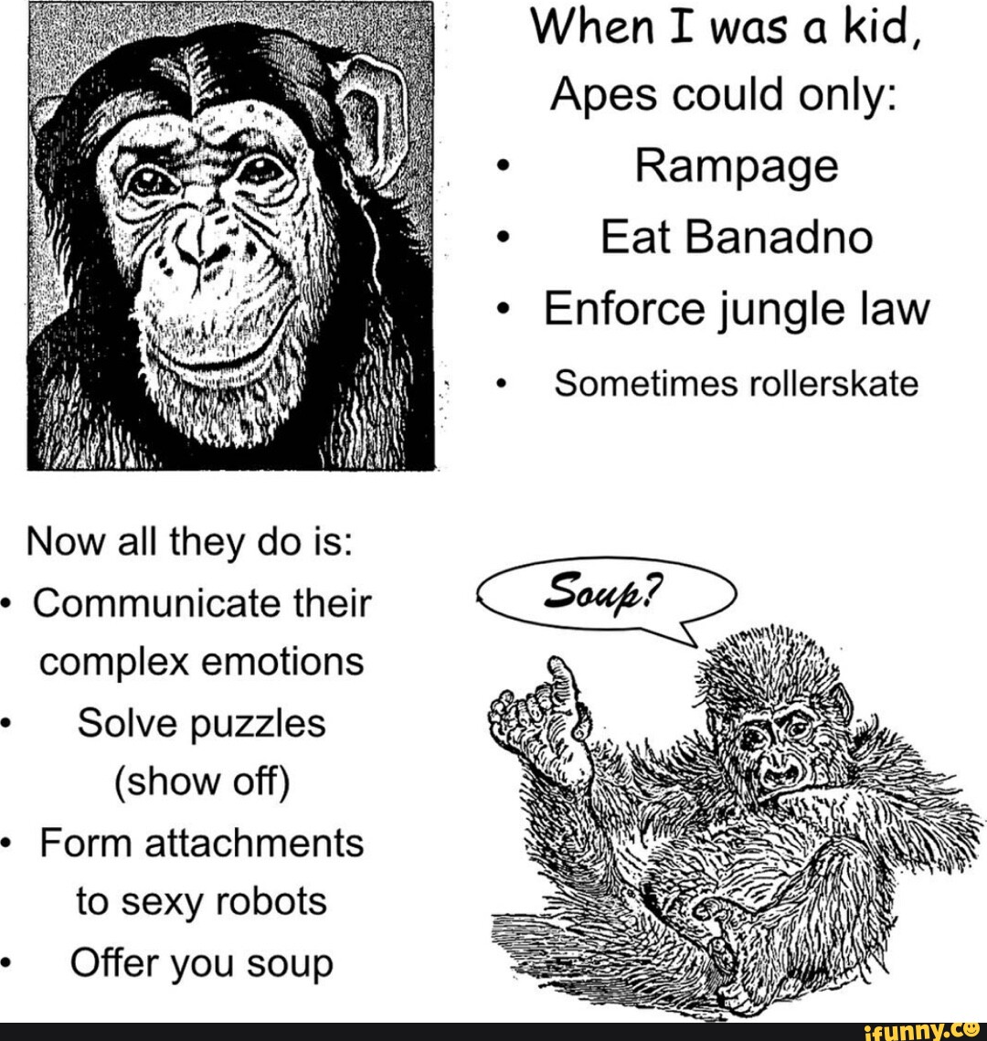 Attachments memes. Best Collection of funny Attachments pictures on iFunny