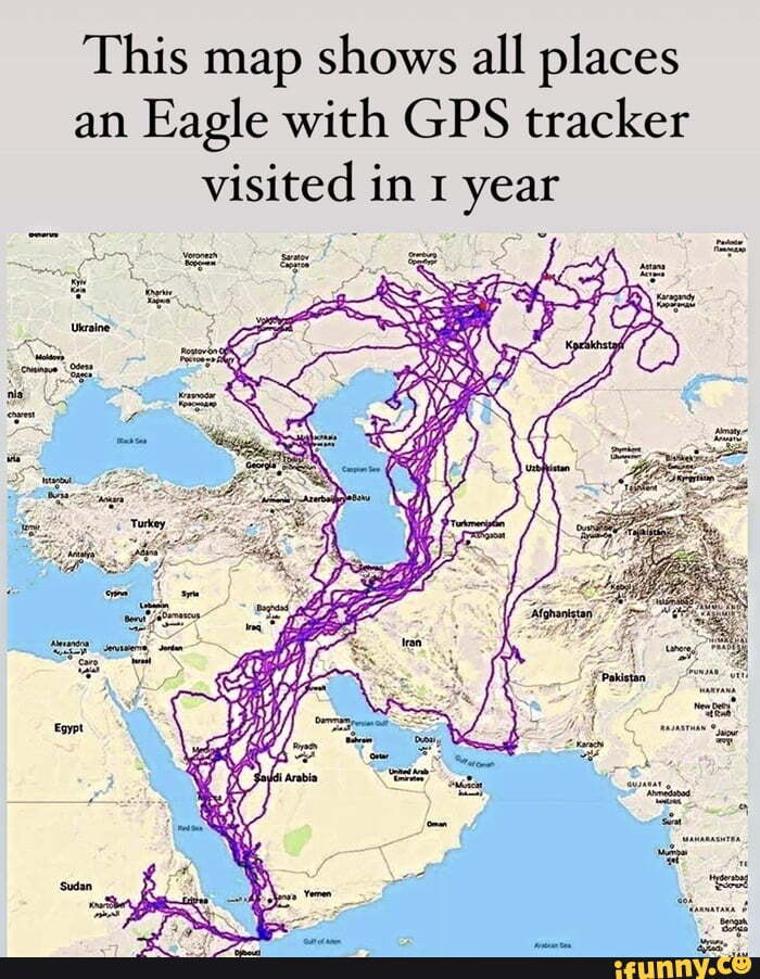 This map shows all places an Eagle with GPS tracker visited in year ...