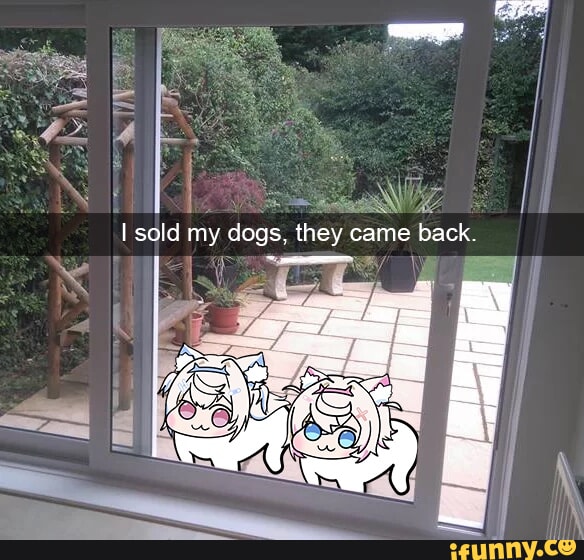 I sold my dogs, they came back. - iFunny