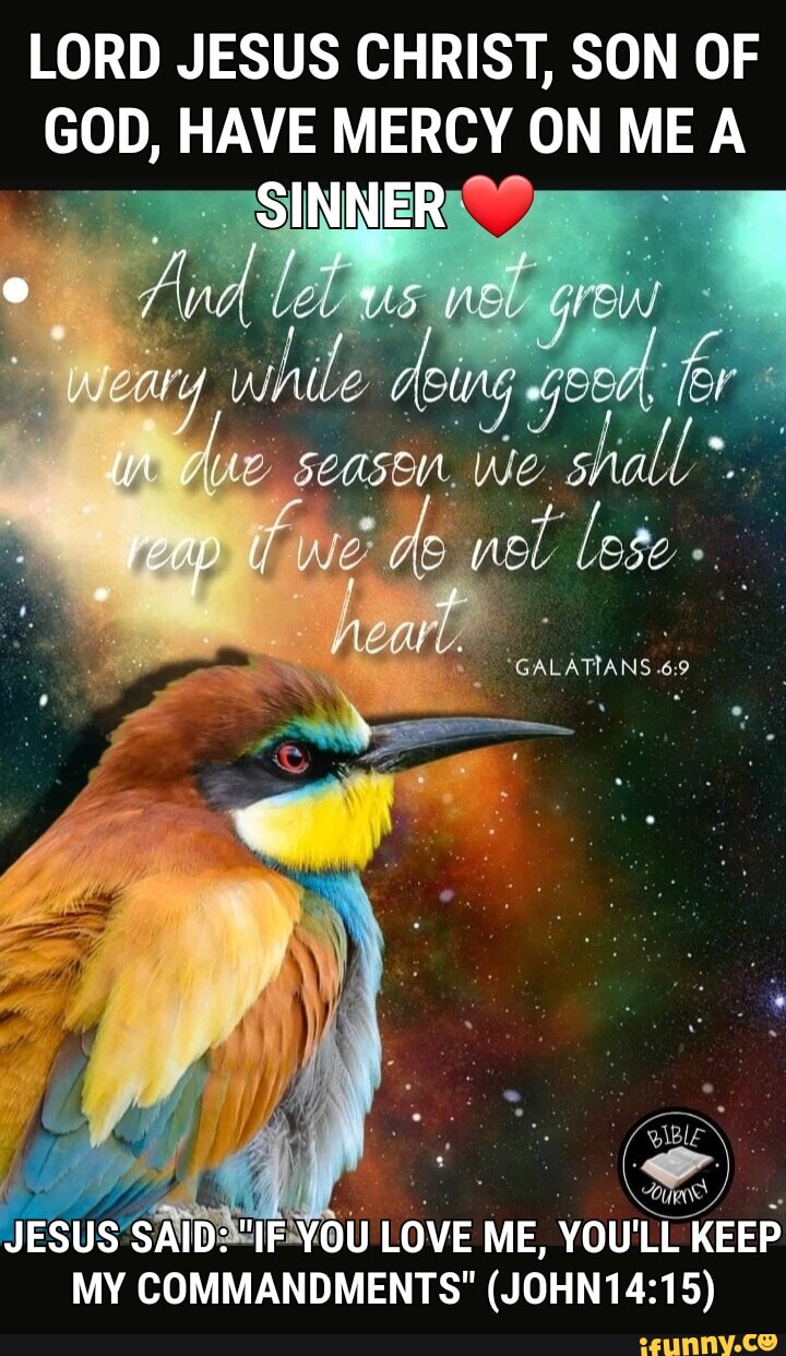 Saml memes. Best Collection of funny Saml pictures on iFunny