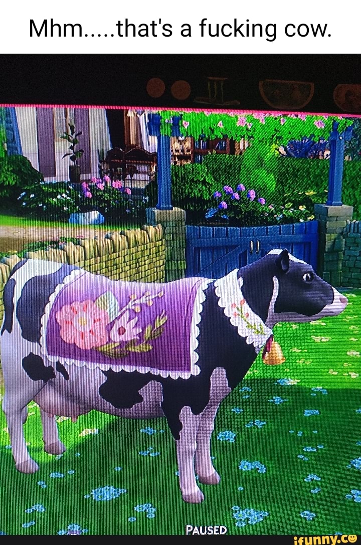 Cottageliving memes. Best Collection of funny Cottageliving pictures on ...