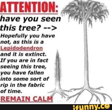 Fact memes. Best Collection of funny Fact pictures on iFunny