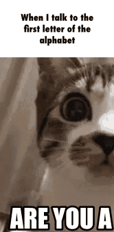 Lettera memes. Best Collection of funny Lettera pictures on iFunny