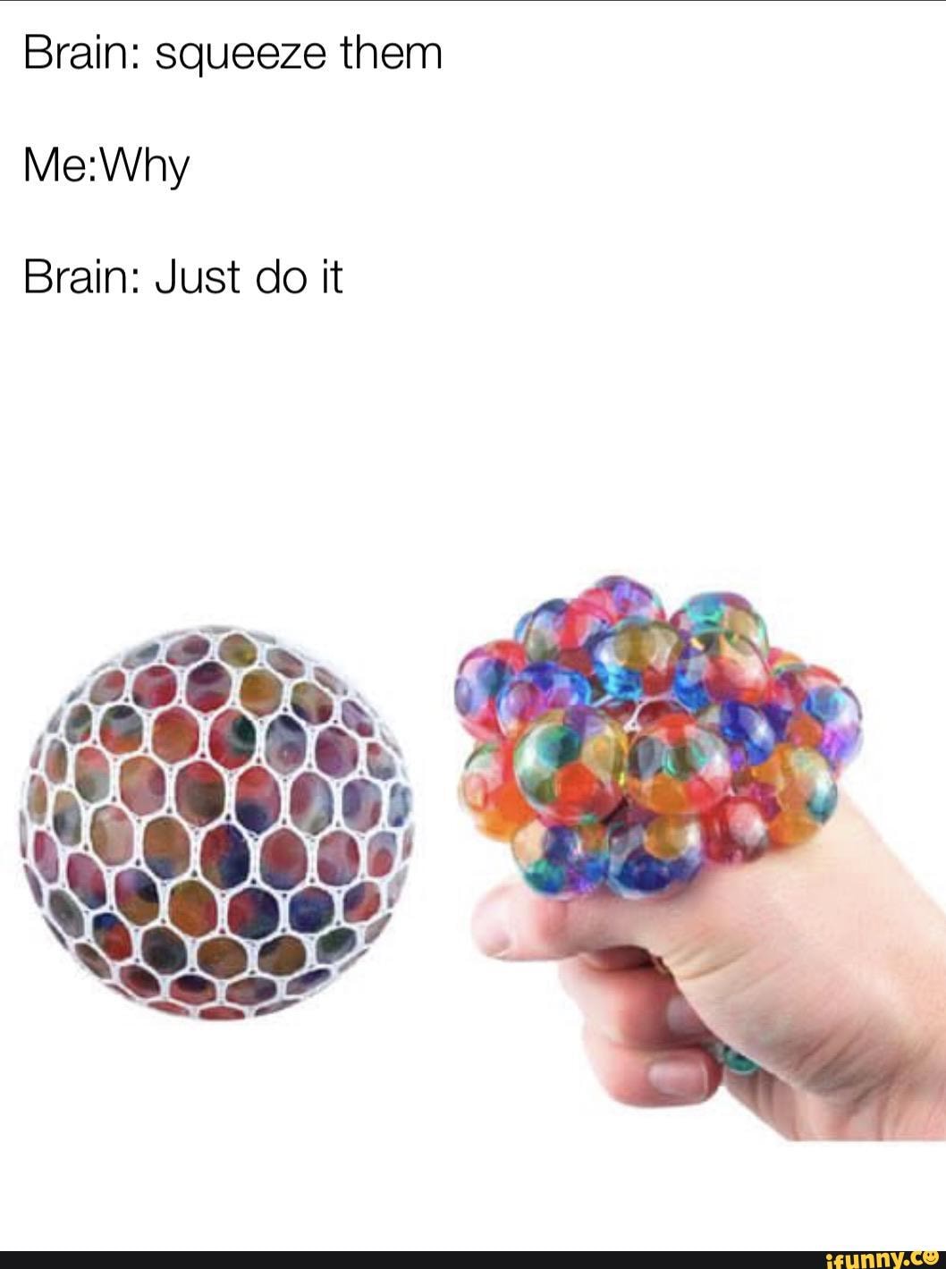 Brain: squeeze them Brain: Just do it Me:Why - iFunny