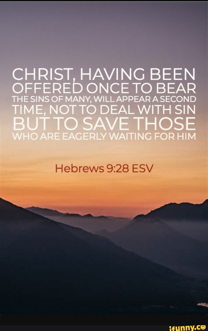 Pach memes. Best Collection of funny Pach pictures on iFunny