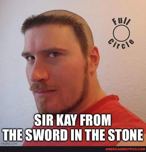 SIR KAY FROM THE SWORD IN THE STONE - America’s best pics and videos