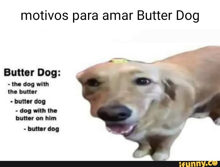 Motivos para amar Butter Dog Butter Dog: the dog with the butter butter ...