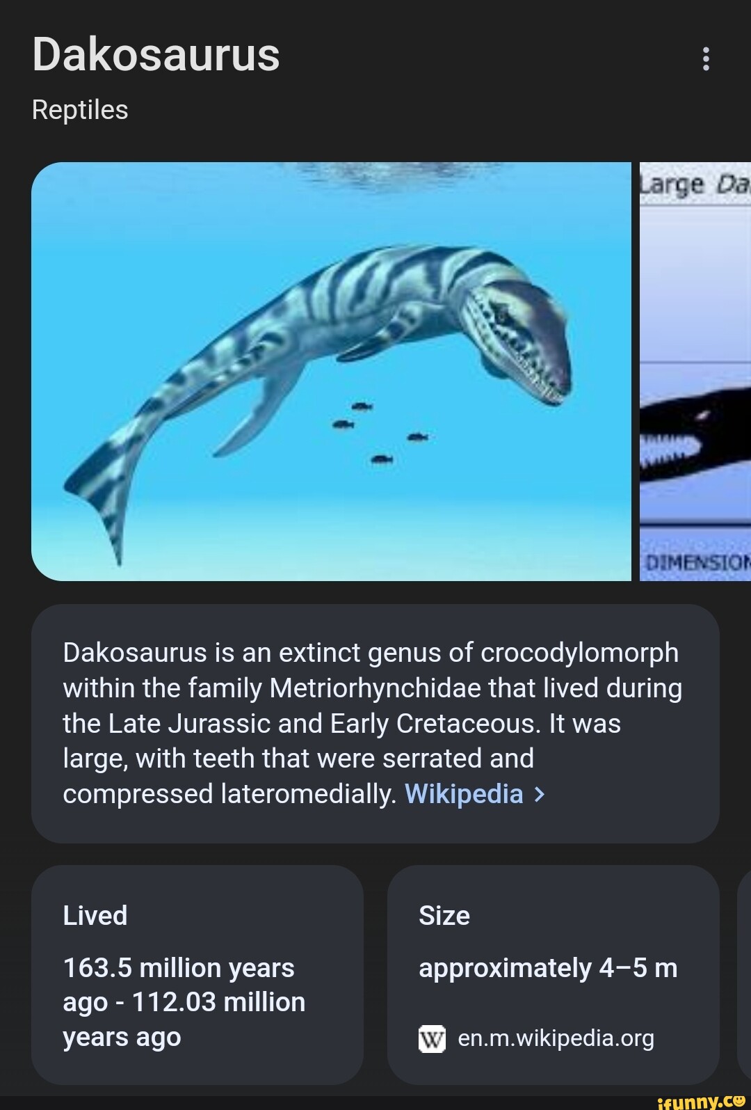 Dakosaurus