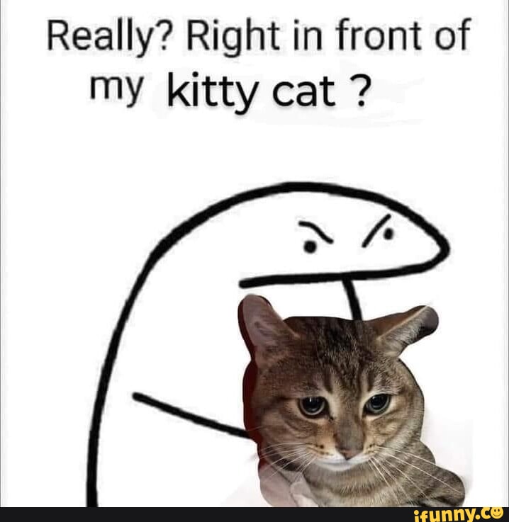 Really? Right in front of my kitty cat ? - iFunny