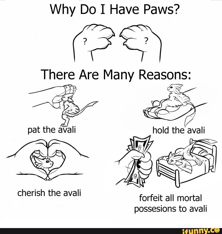 Why Do I Have Paws? There Are Many Reasons: pat the avali hold the ...